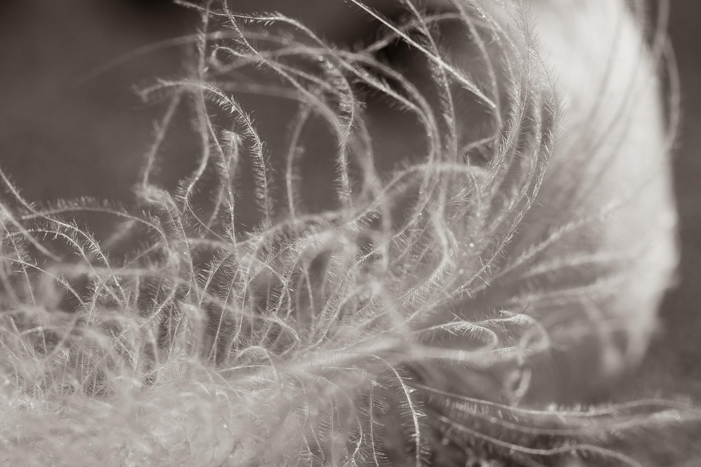 Hidden Magic - Everyday Objects as Powerful Protection ~ CraftTalk
